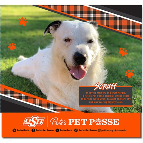 ShopOKState - PETE'S PET POSSE 2025 CALENDAR